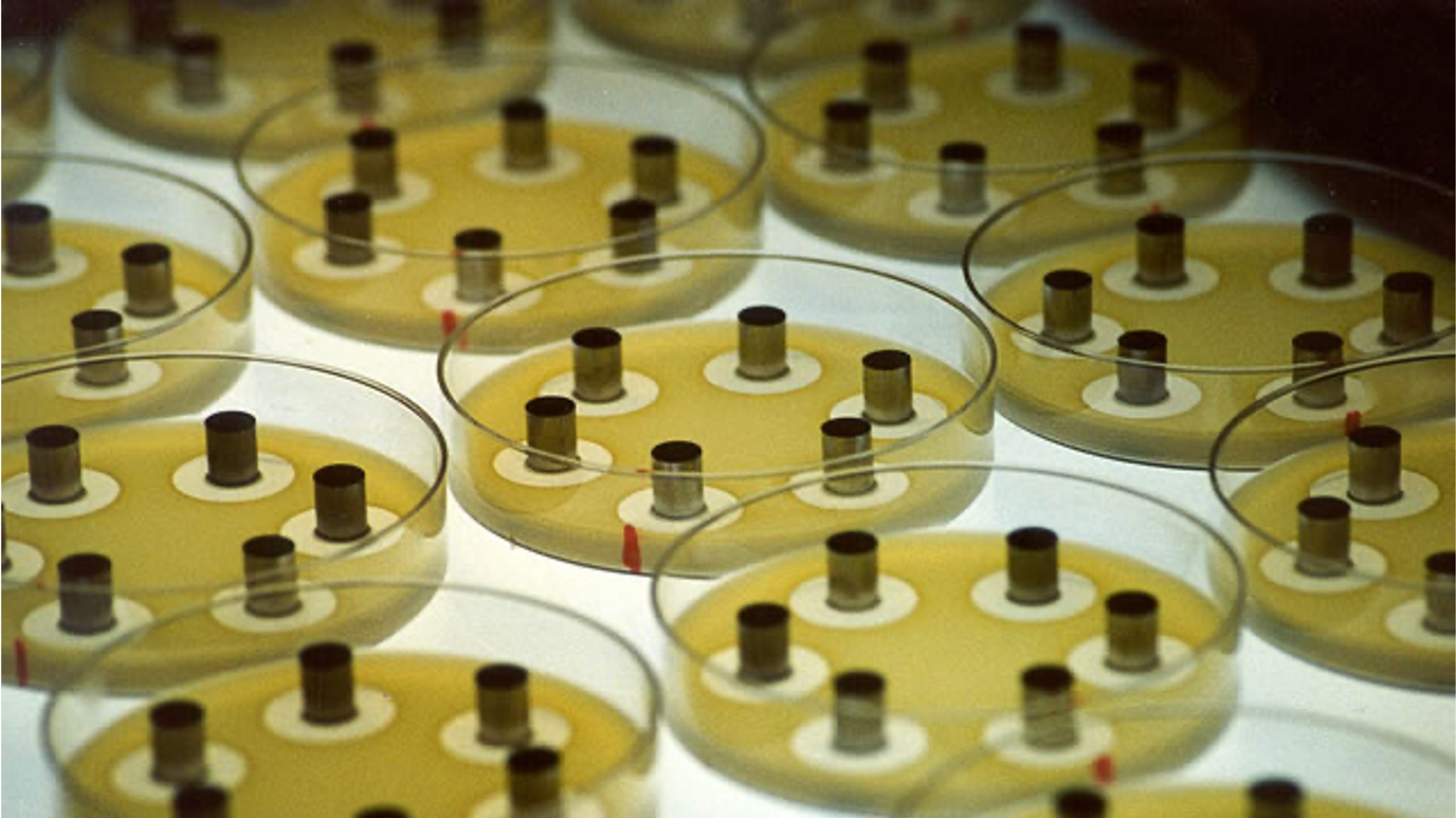 Tech-2664: Partnership Opportunity: Next-Gen Automated Zone Reader IP ...